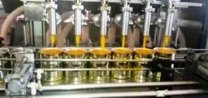 How is Mango Pulp Processing Work Done with Pulp Machines?